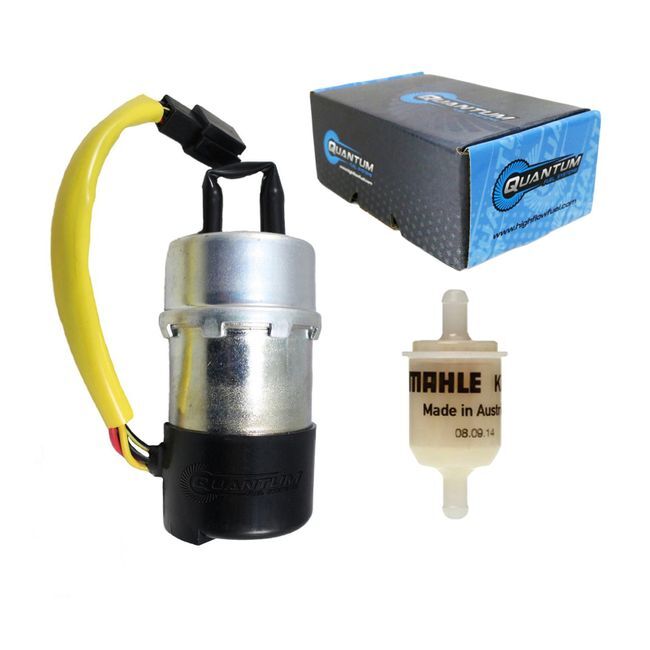 Quantum Frame-Mounted Electric Fuel Pump W/ Filter